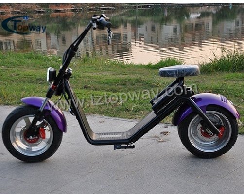 2018 New Style Two Wheel Off Road Electric Mobility Halley Scooter