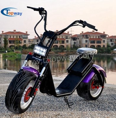 2018 New Style Two Wheel Off Road Electric Mobility Halley Scooter