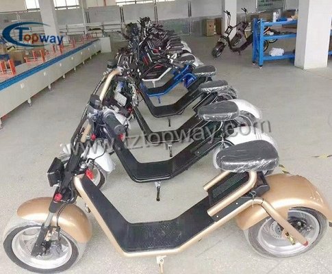 Popular Halley Electric Scooter 1000W 60V Fat Tyre Citycoco