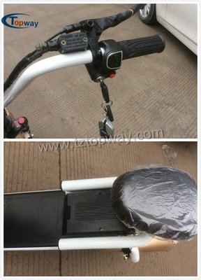 Popular Halley Electric Scooter 1000W 60V Fat Tyre Citycoco