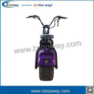 two wheels Citycoco 1000W 60V adult electric scooter battery box removable