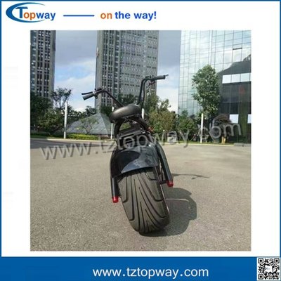 two wheels Citycoco 1000W 60V adult electric scooter battery box removable