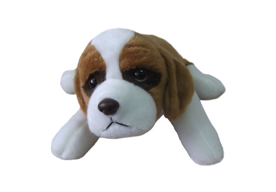 China 6'' lying plush stuffed bull dog brown & white supplier
