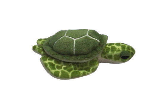 4'' Mini green sea turtle / green mini tortoise supplier