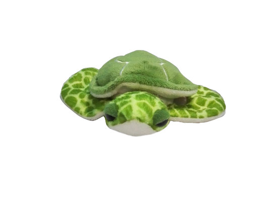 4'' Mini green sea turtle / green mini tortoise supplier