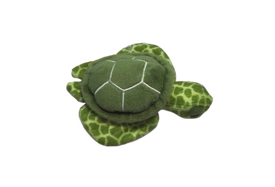 4'' Mini green sea turtle / green mini tortoise supplier