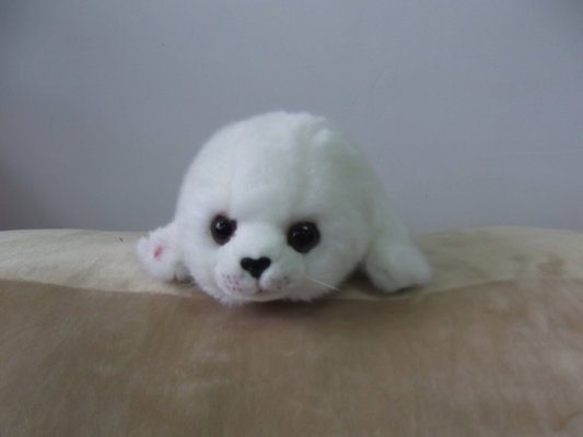 20CM Baby seal / white seal / soft baby seal supplier
