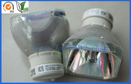 Multimedia Projector lamp LMP-D213 Video Projector Lamp For Office Training Room supplier