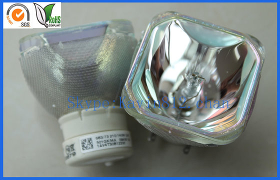 Multimedia Projector lamp LMP-D213 Video Projector Lamp For Office Training Room supplier