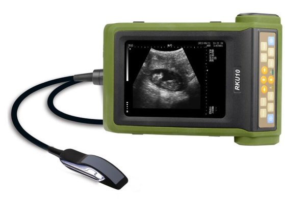 Portable Veterinary Ultrasound RKU10 Herd Health Pet Bovine Swine Ovine Equine Dog Cat Ultrasound Sonar