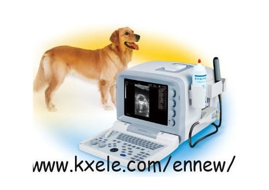 Portable Veterinary Ultrasound KX2000G Vet Herd Health Swine Ovine Ultrasound Sonar