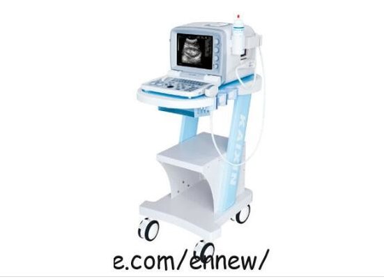 Portable Veterinary Ultrasound KX2000G Vet Herd Health Swine Ovine Ultrasound Sonar