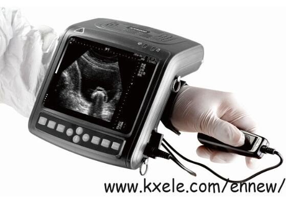 Portable Veterinary Ultrasound KX5200V Herd Health Pet Bovine Swine Ovine Equine Dog Cat Ultrasound Sonar