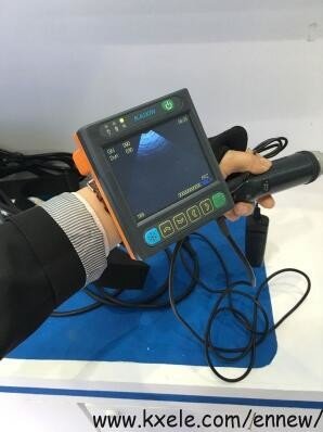 Portable Veterinary Ultrasound MSU3 Herd Health Swine Ovine Ultrasound Sonar