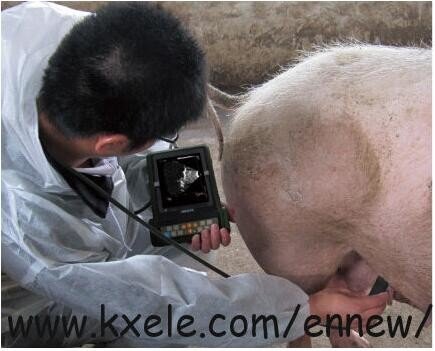 Portable Veterinary Ultrasound MSU2 Herd Health Swine Ovine Ultrasound Sonar