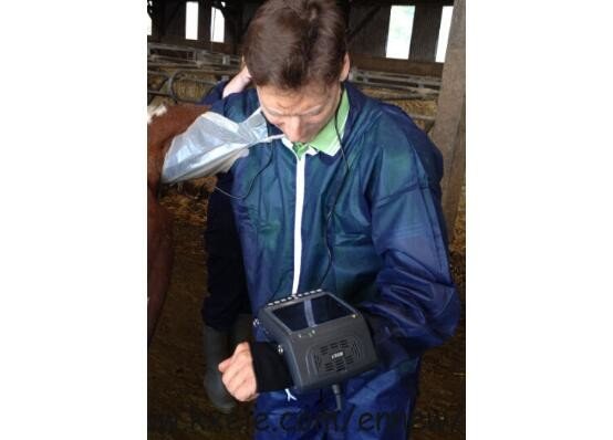 Portable Veterinary Ultrasound MSU1 Herd Health Swine Ovine Ultrasound Sonar