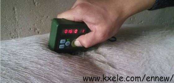 UT01 Backfat Tester for Swine/Ovine Herd Health Backfat measurement