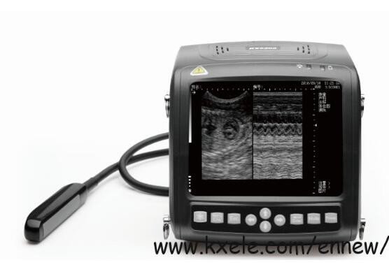 Portable Veterinary Ultrasound KX5200V Herd Health Pet Bovine Swine Ovine Equine Dog Cat Ultrasound Sonar