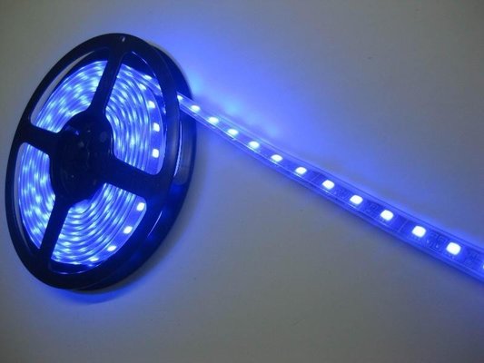 Home Decorative LED Flexible Strip Lighting 24V , Super Bright LED Strips 3LM - 4LM