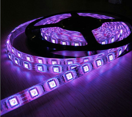 24V Epistar Flexible LED Strip Lights Warm White Bushing With CE ROHS SMD LED