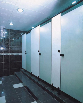light grey color 12 mm thickness hpl toilet cubicle door  Toilet Cubicles For Wash Room Partition