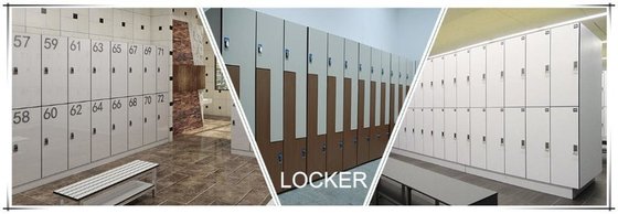 Hot sale 2 Door Steel Locker Metal Gym Storage Locker for Changing Room Luggage Lockers Steel Wardrobe Price