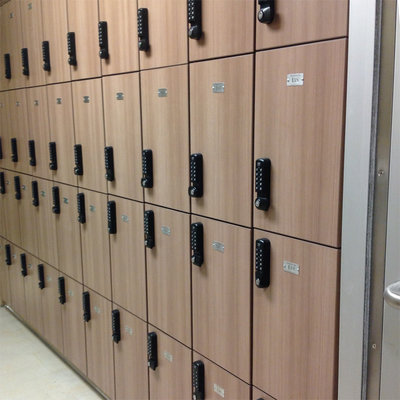 Hot sales popular employee personal safe locker Changing room dressing 12 door fitness locker