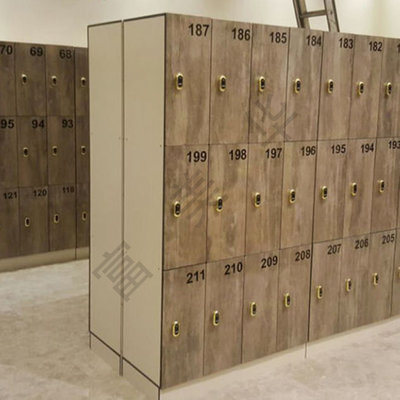 Modern 3 doors locker for changing room Wholesale Wood Grain 12mm Thickness HPL Panel Storage Locker for Fit