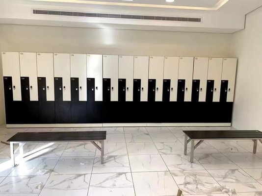 China Supplier Durable Electrostatic Single DoorLocker Gym Locker Steel Cloth Locker