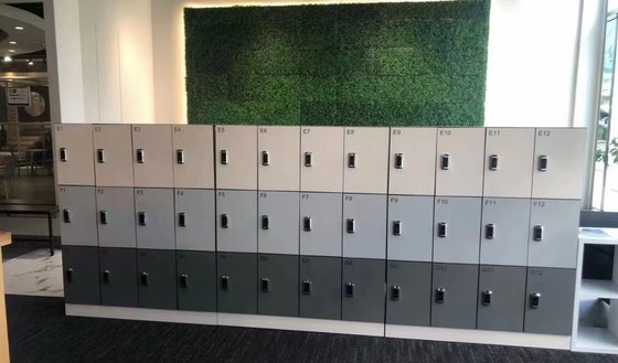 Compact Laminate Sports Gym Locker, HPL Panel Laminate Storage Locker Wooden Locker