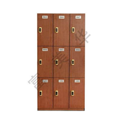 Hot Sale Coin-Operated Water Park Storage Locker Cheap Price 5 Doors School Lockerl Employee Locker Gym Locker