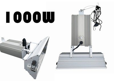 China High Power Factor 0.98 HID Grow Lights , MH 1000W K12 x 30s Indoor Grow Lights supplier