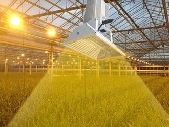 China High Reflectivity HID Grow Lights B281 , GrowBetter Grow Lights For Indoor Plants supplier