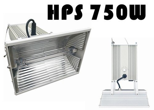 China Energy Saving 750W HPS Grow Lights Low Power Consumption For Tomatoes Growing supplier