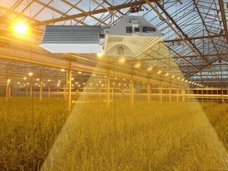 China Indoor 1000 Watt Grow Light Aluminum Hood Dimmable With 6 Phase Dimming Function supplier