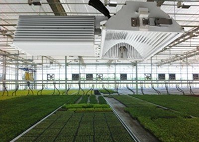 China Ceramic Metal Halide Indoor Grow Lights , 630W A350 Plus DE Grow Light For Crops supplier