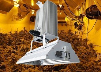 Greenhouse Production HID Grow Lights , High Light 1000 Watt Grow Light For Herbs supplier