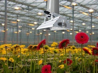 1000 Watt Indoor Garden Grow Lights With 6 - Phase Manual Dimming Function supplier