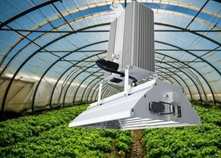 Low Dissipation 630W Horticultural Grow Lights Optimal Cooling For Seed Starting supplier