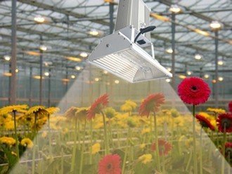 Low Dissipation 630W Horticultural Grow Lights Optimal Cooling For Seed Starting supplier