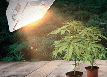 High Pressure Sodium HID Grow Lights A350 ,  DE Grow Light For Large Scale Greenhouse supplier