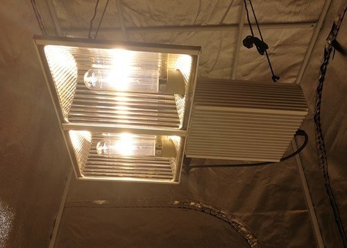 Full Spectrum Grow Light System 630W Dual CMH Complete Fixture include 2 x 315w Ceramic Metal Halide bulb supplier