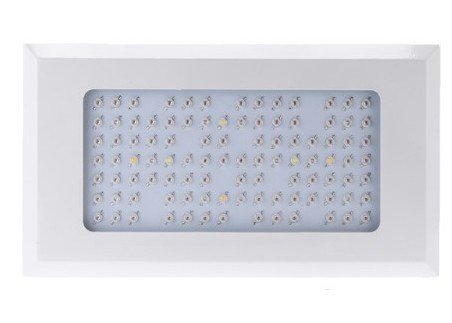 Customization Available LED Indoor Plant Lights 165w 240w 300w With White Color Shell supplier