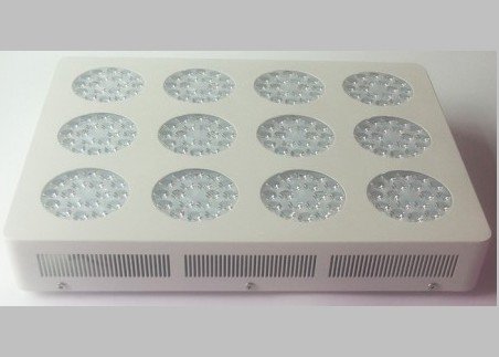 AC 265V Plant Grow Lights 648w Safety Eco - Friendly Pollution Free Substances supplier