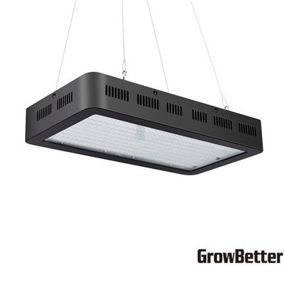 Quality LED Grow Light 2000w full spectrum Plant Grow Lights grow light herb garden supplier