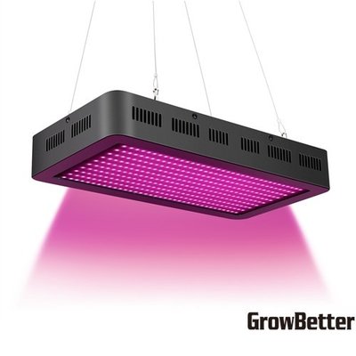 Quality LED Grow Light 2000w full spectrum Plant Grow Lights grow light herb garden supplier