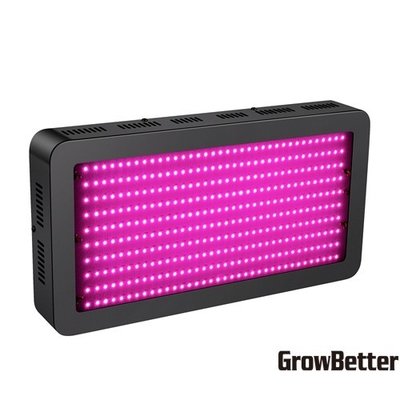 Quality LED Grow Light 2000w full spectrum Plant Grow Lights grow light herb garden supplier