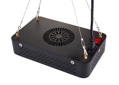600w grow light kits led grow light for indoor grow tents growing indoor hydroponics supplier