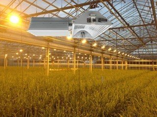 Easy Mounting HID Grow Lights High Efficiency With Very Low Energy Consumption supplier
