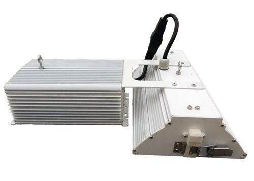 Intense Light DE Grow Light 1000W 0.98 Power Factor  Low Frequency For Orchids supplier